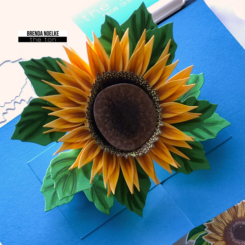 The Ton’s Pop Up Sunflower Dies Release – My PaperCut Creations